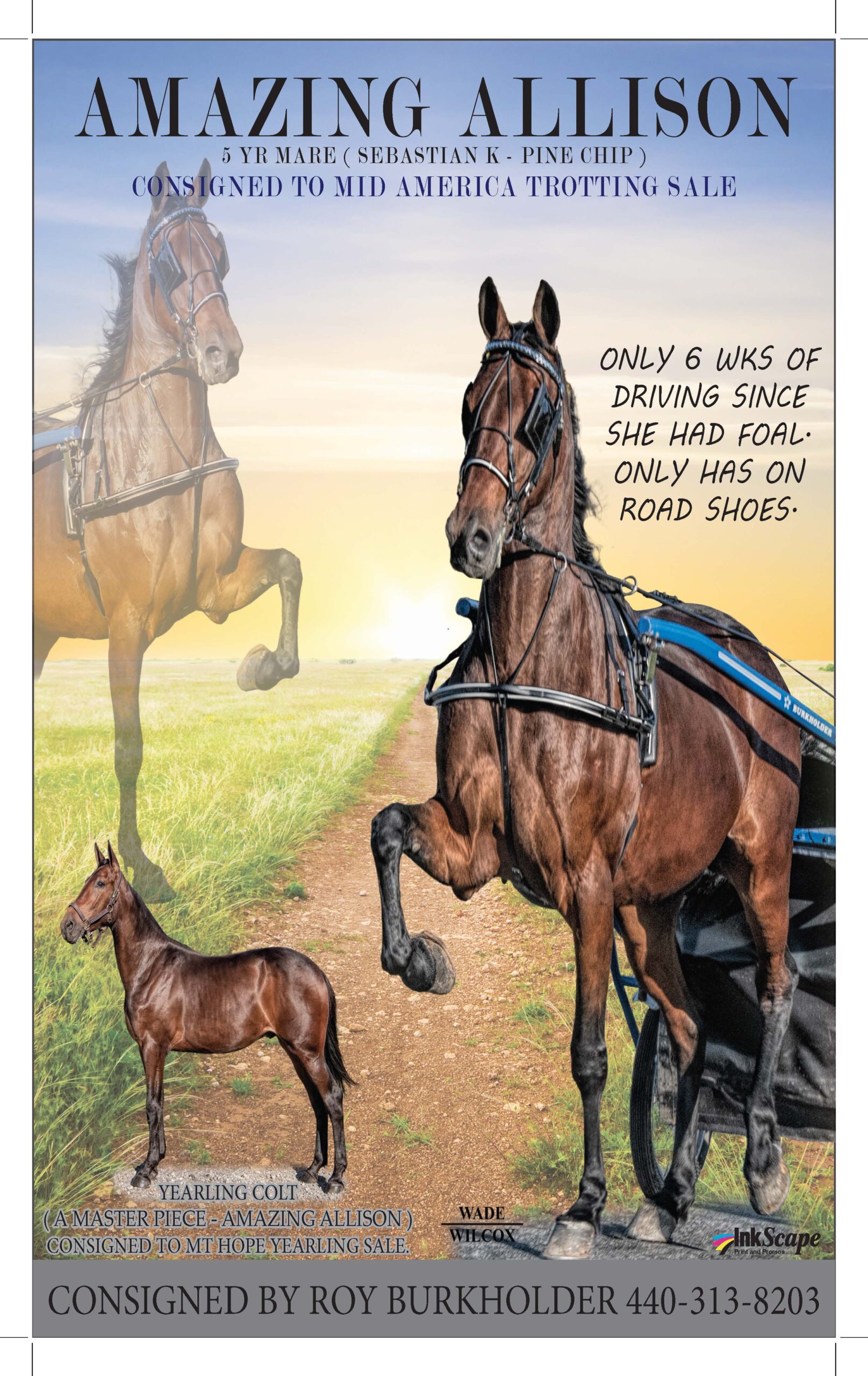 Mid Ohio Standardbred Yearling Sale - Home Page